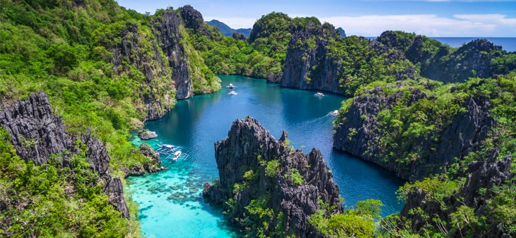 Cherry Bus: Tickets, Schedules, and Routes